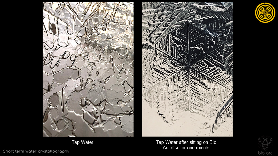 Bio energetics — bio arc