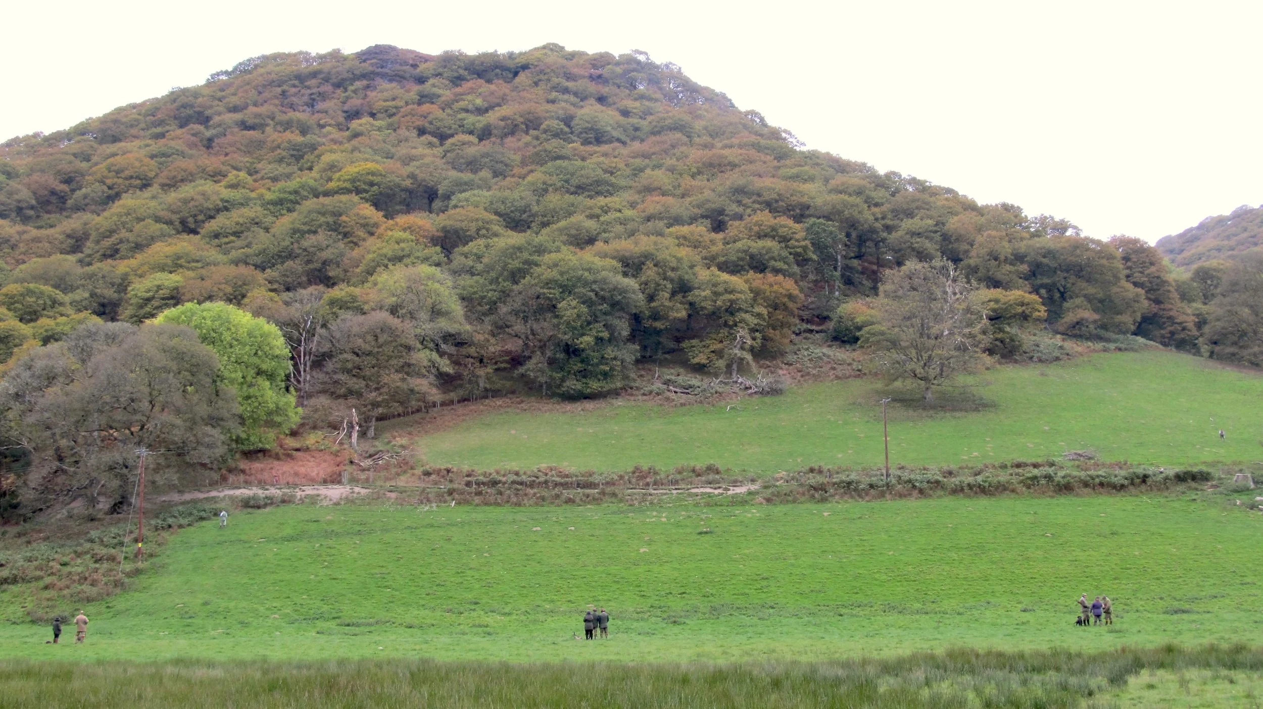 Shooting - Tregoyd and Llwyn Madoc — Hardwick Sporting