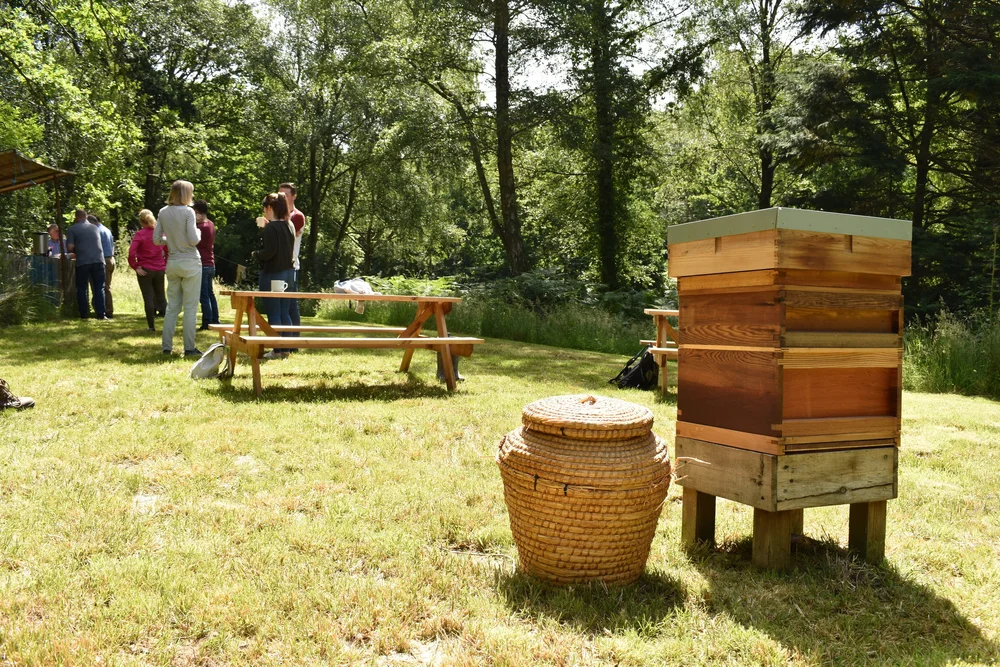 Beekeeping experience days set in a wildlife conservation woodland in ...