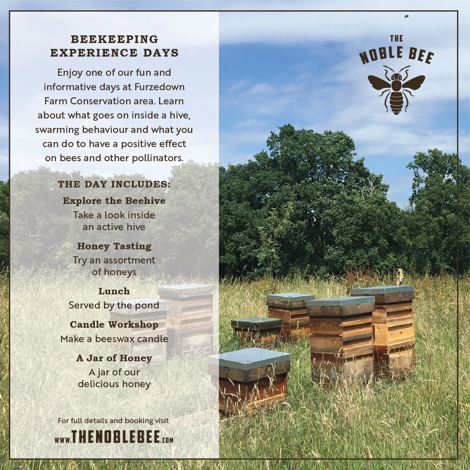 Beekeeping experience days set in a wildlife conservation area in The ...