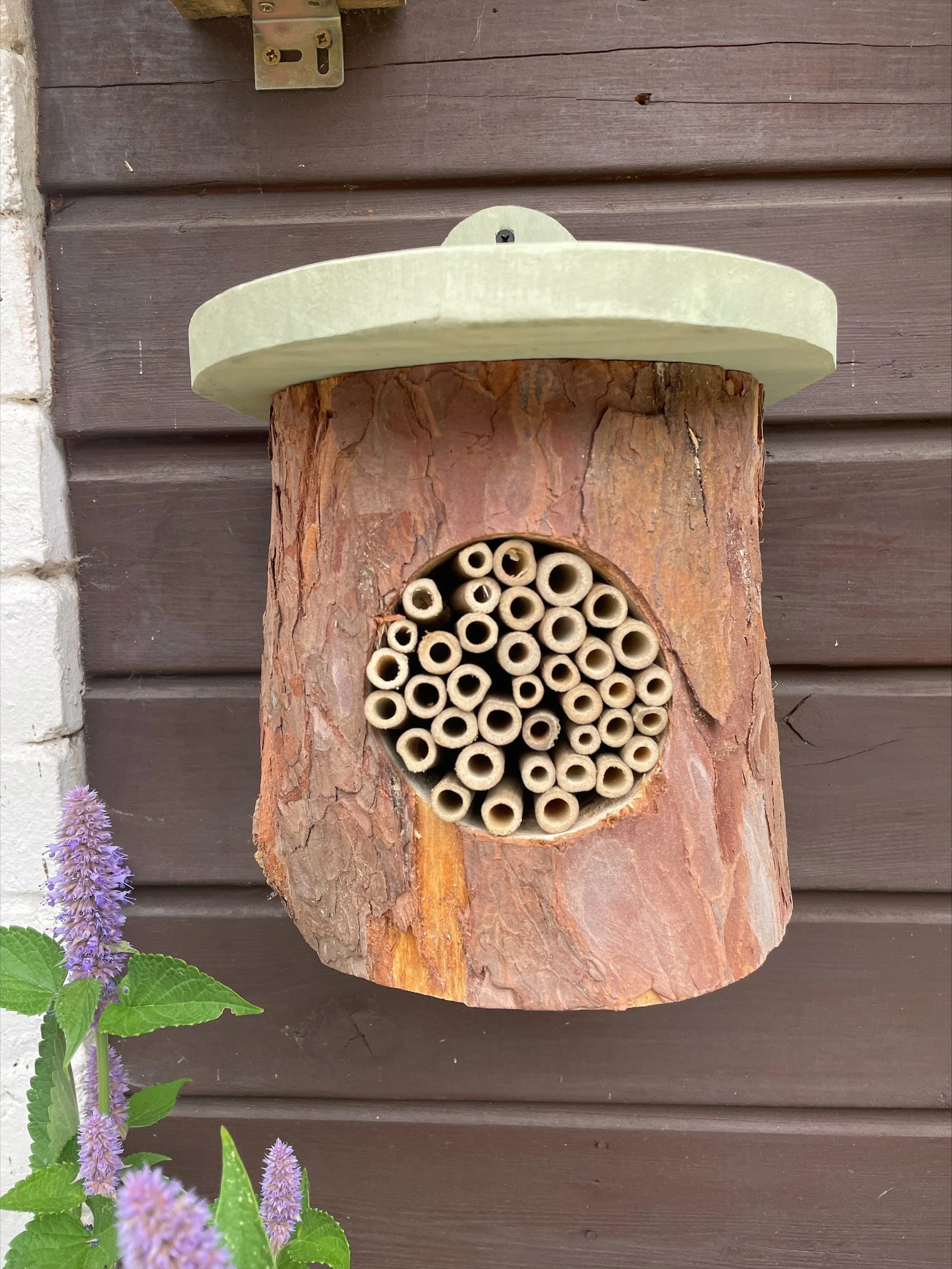 The Noble Bee online shop. The home of delicious award winning natural ...