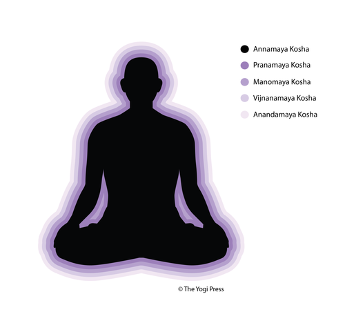 The Koshas: The Vital Sheaths — The Yogi Press