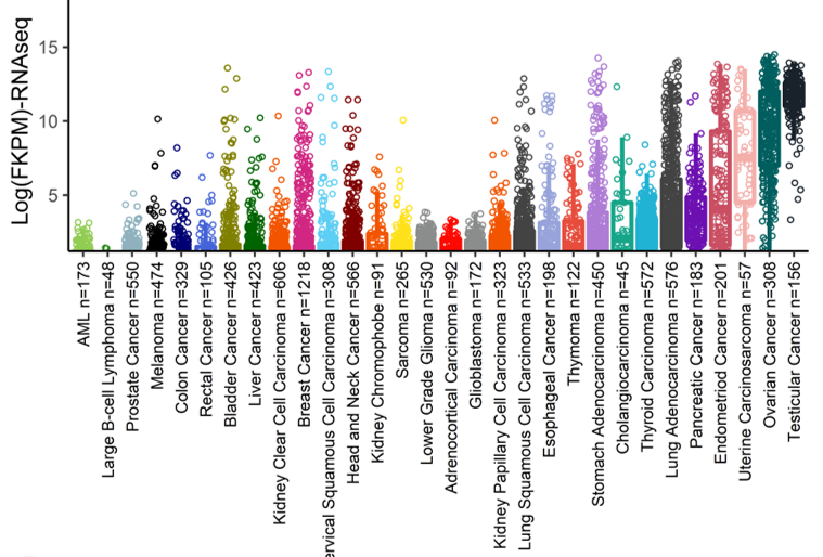 Claudin 6 — Context Therapeutics