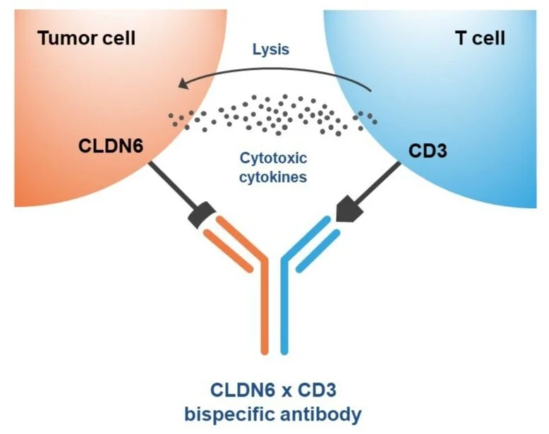 CTIM-76 — Context Therapeutics