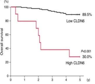 Claudin 6 — Context Therapeutics