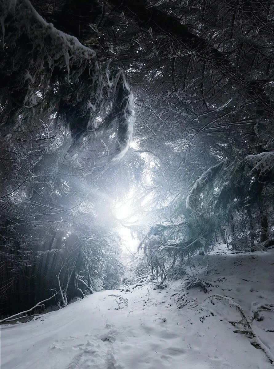 Natural landscape photography by Andrew Brooks — Andrew Brooks - Artist ...