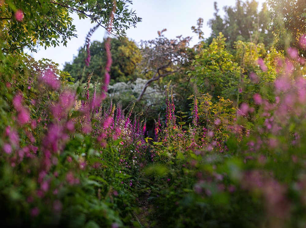 Spring Garden Landscape Photography