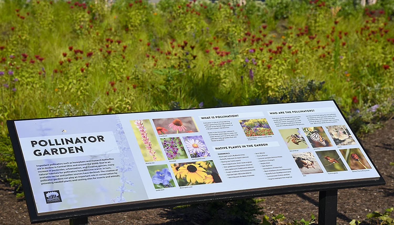 Dorrian Green Interpretive Signage — MKSK | Planning, Urban Design ...