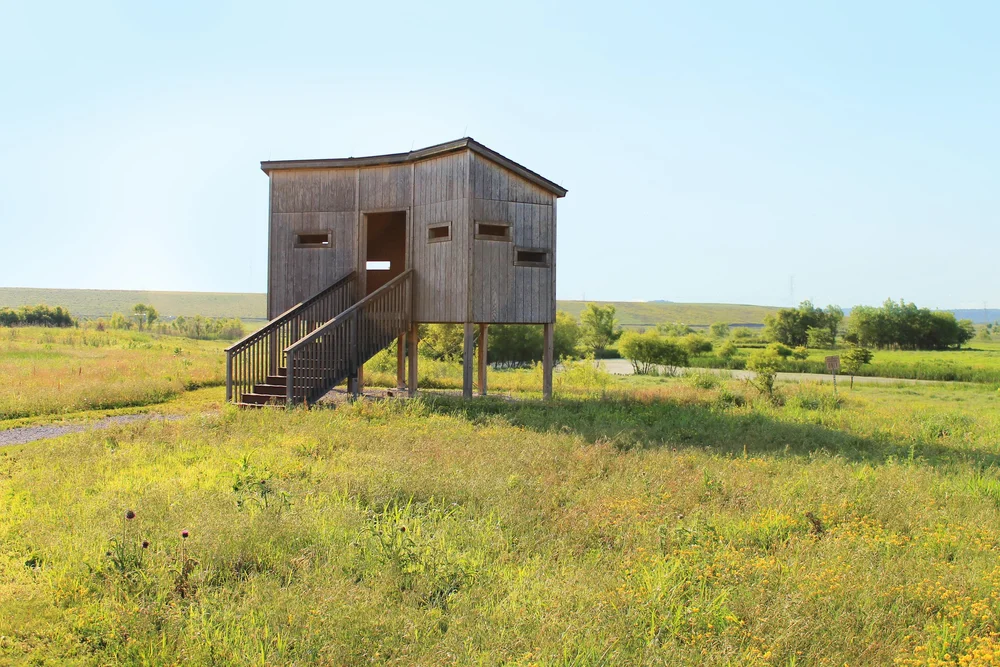 The Carbon Sequestration Benefit from Prairies has Positive Impacts to ...