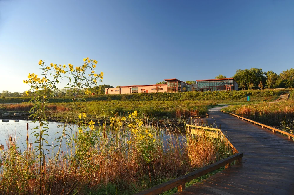 The Carbon Sequestration Benefit from Wetlands has Positive Impacts to ...