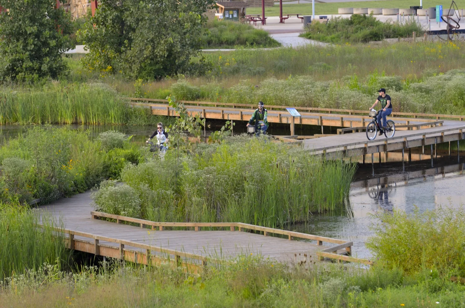 The Carbon Sequestration Benefit from Wetlands has Positive Impacts to ...