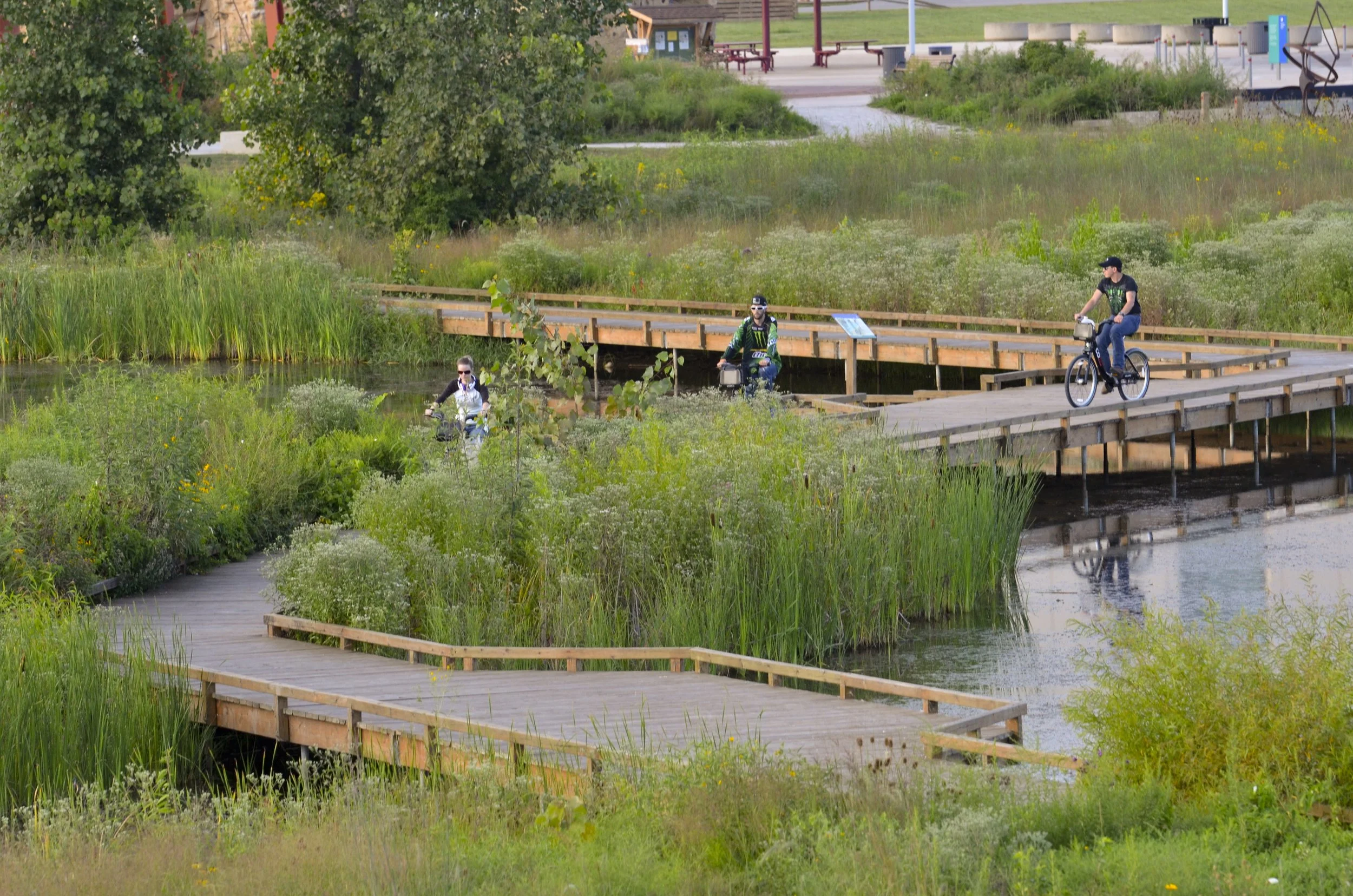 The Carbon Sequestration Benefit from Wetlands has Positive Impacts to ...