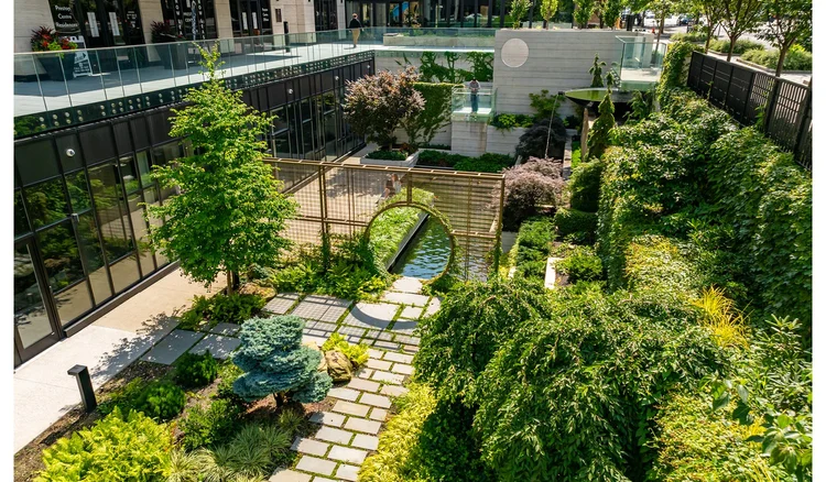Preston Centre — MKSK | Planning, Urban Design, & Landscape Architecture