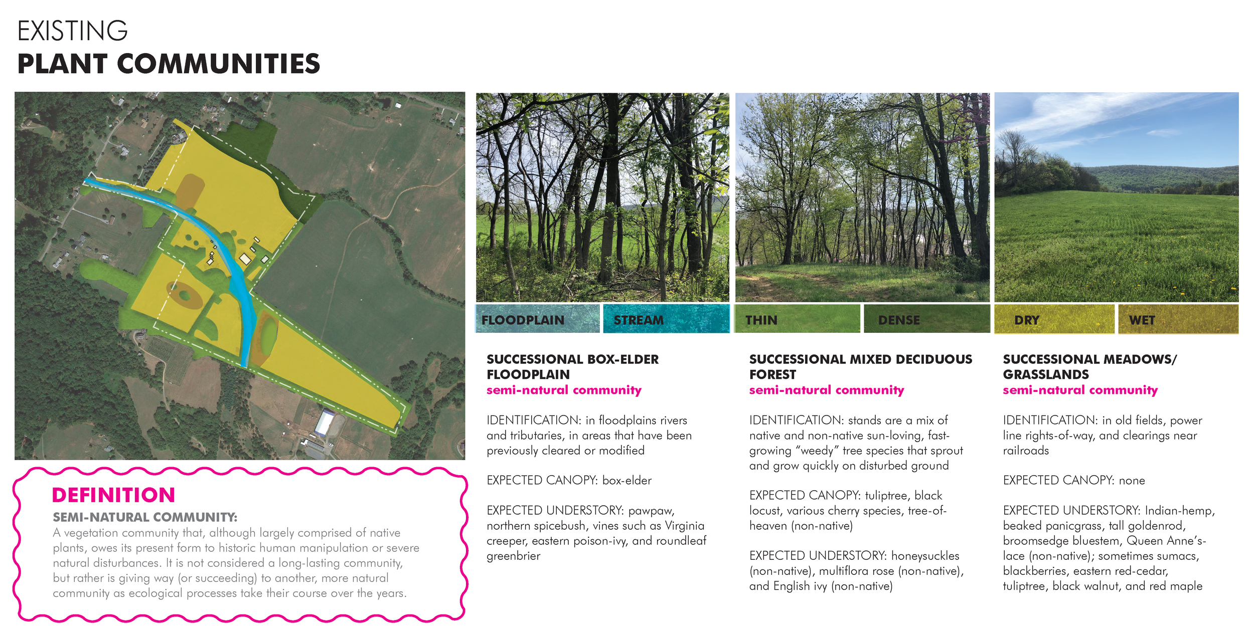 Plant Partners: A Site-Specific Approach to Managing Invasive Plants ...
