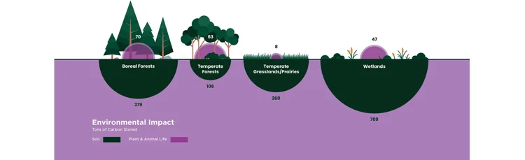 The Carbon Sequestration Benefit from Prairies has Positive Impacts to ...