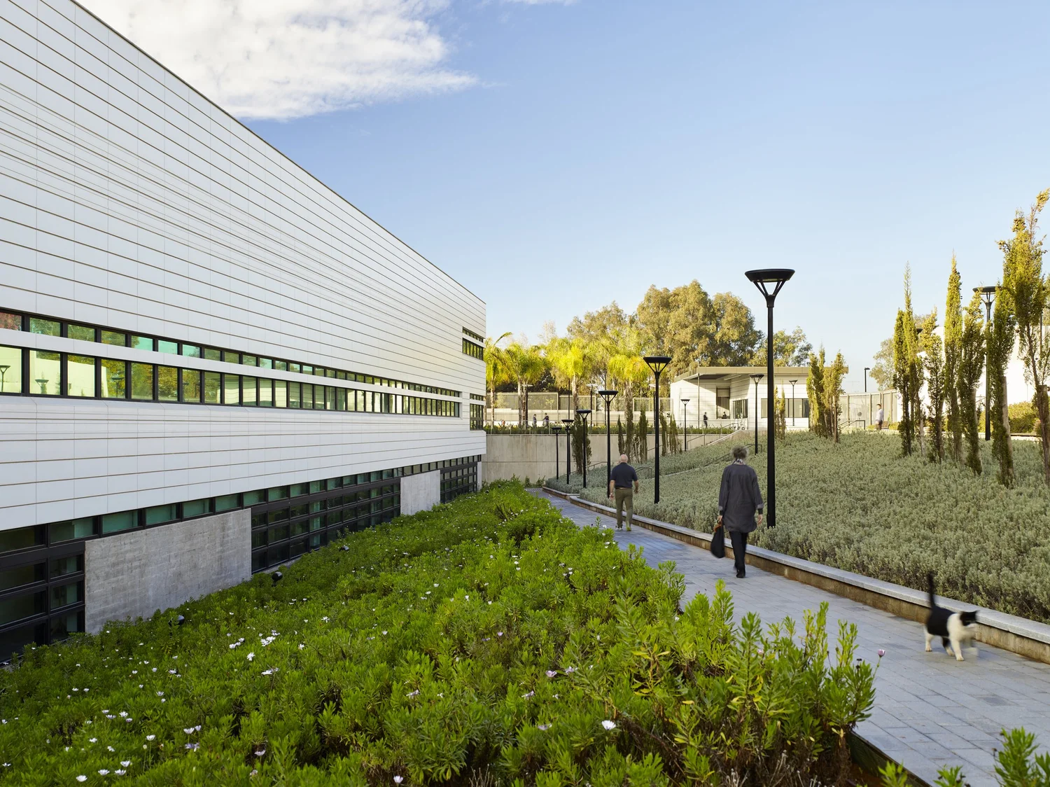 U.S. Embassy Compound, Rabat — MKSK | Planning, Urban Design ...