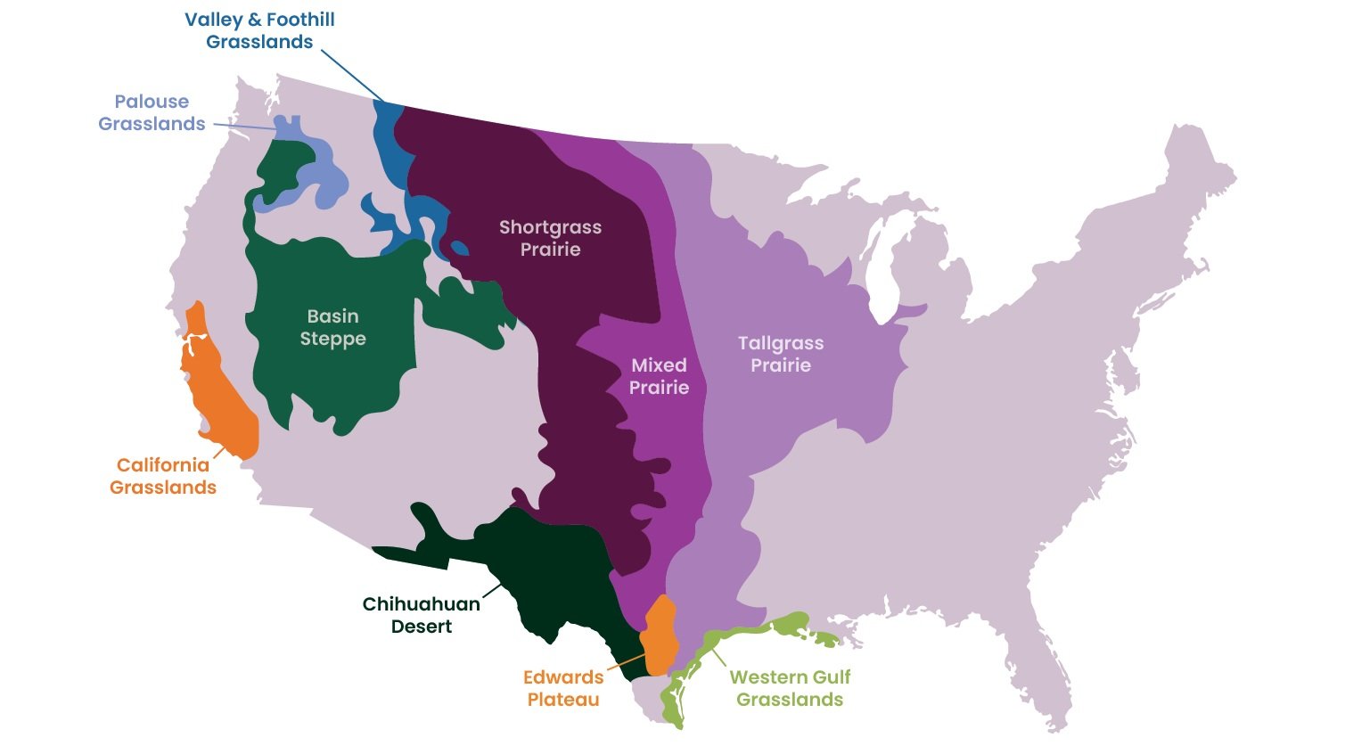 The Carbon Sequestration Benefit from Prairies has Positive Impacts to ...
