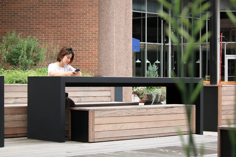“Slow Down and Warm Up”: The Re-Shaping of a Pedestrian Plaza — MKSK ...
