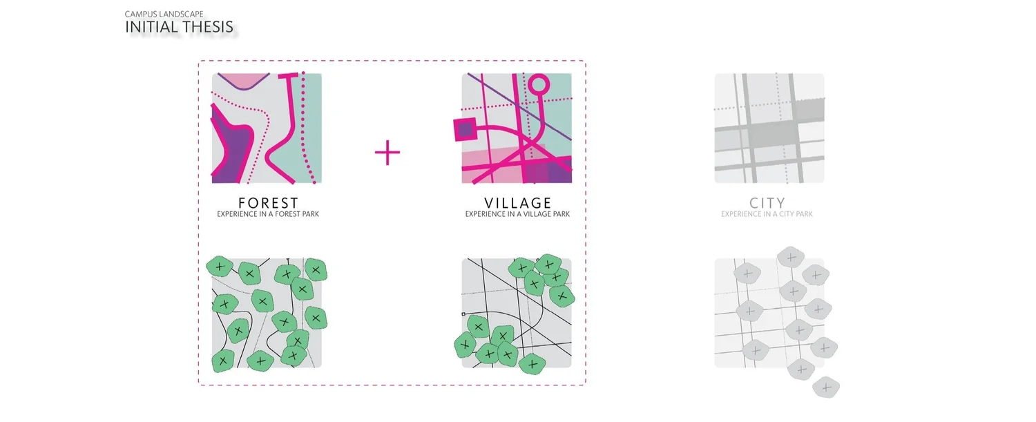 Creating a Park-like Experience at an International Sports Venue — MKSK ...