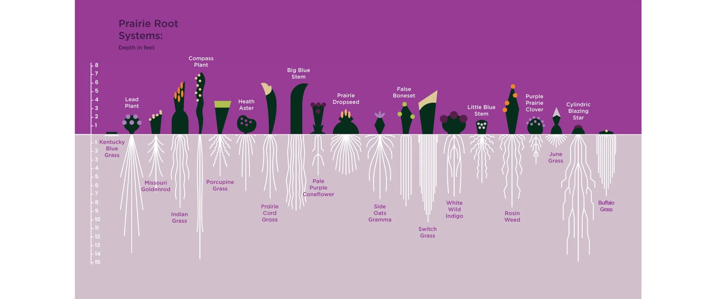 The Carbon Sequestration Benefit from Prairies has Positive Impacts to ...