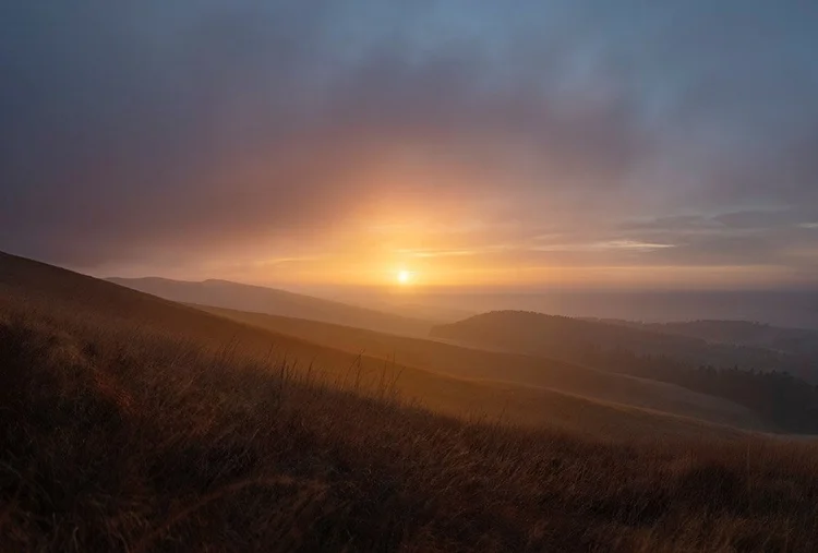 Andrew Brooks Photography