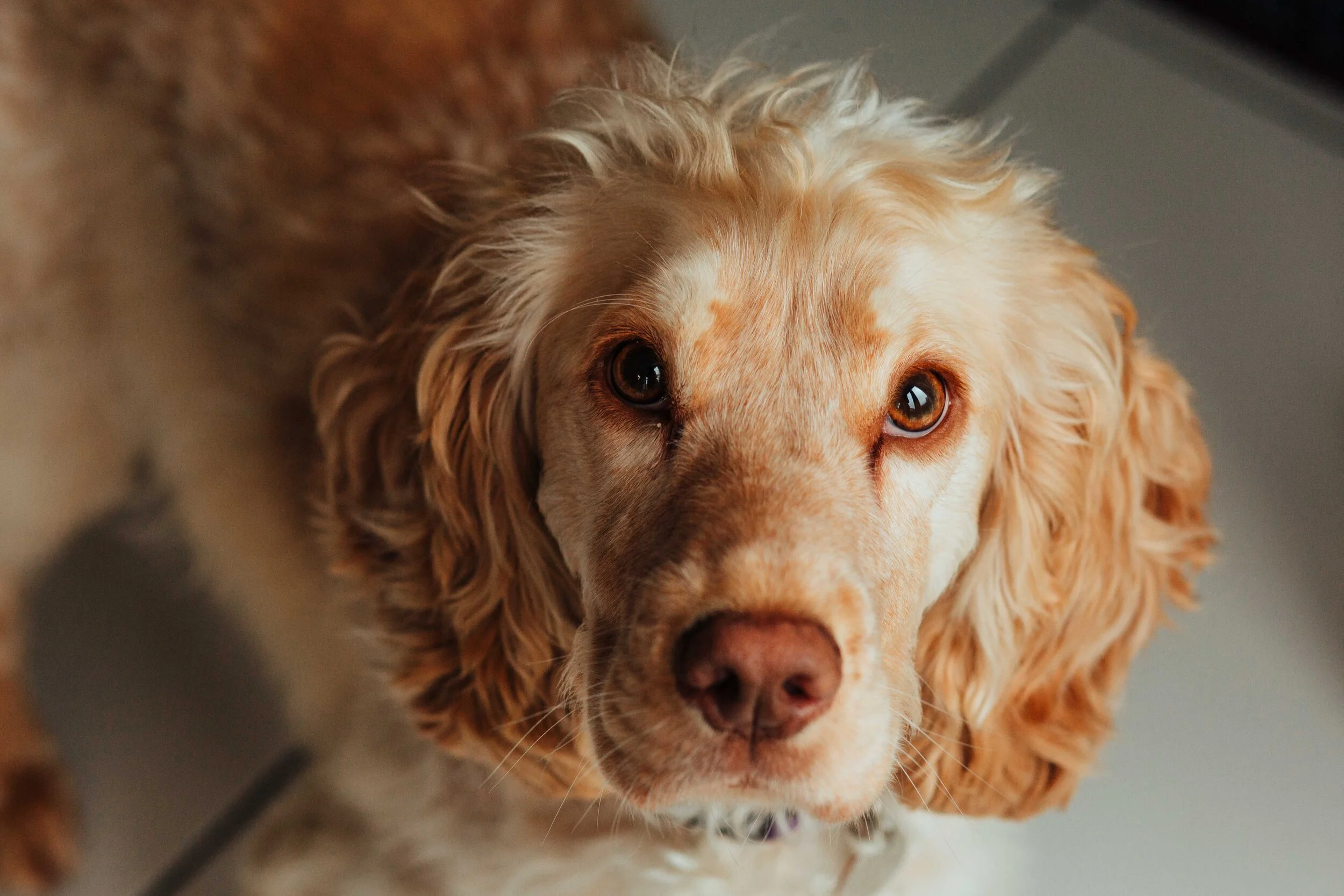 Elliot House Manchester Wedding-Maddie Farris Photography
