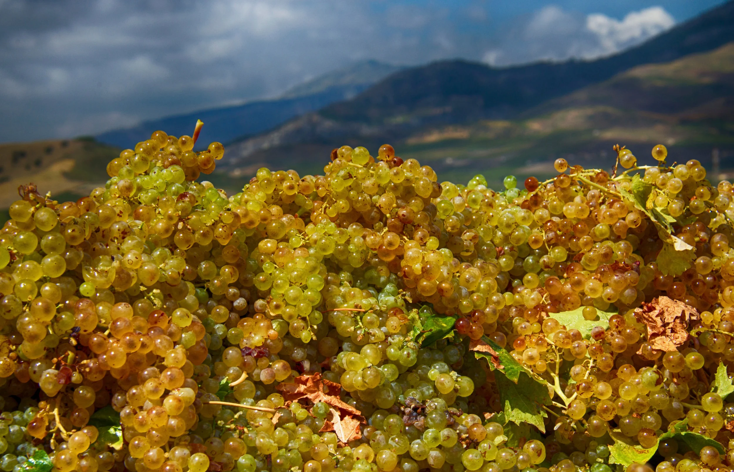 Destinations — Maria Poole Luxury Travel