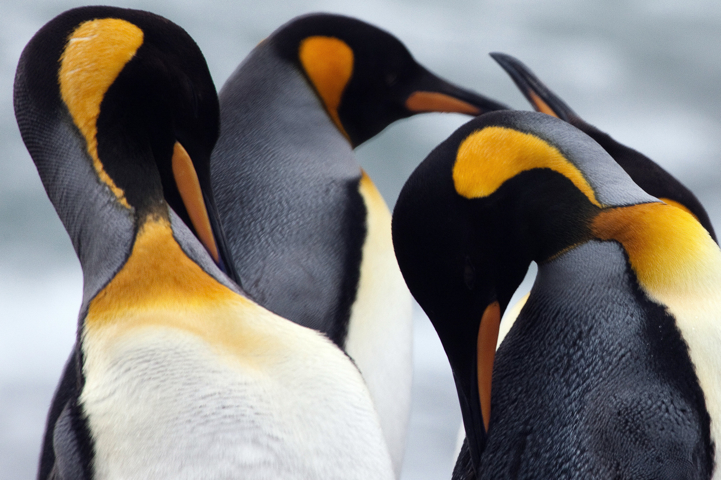 Destinations — Maria Poole Luxury Travel