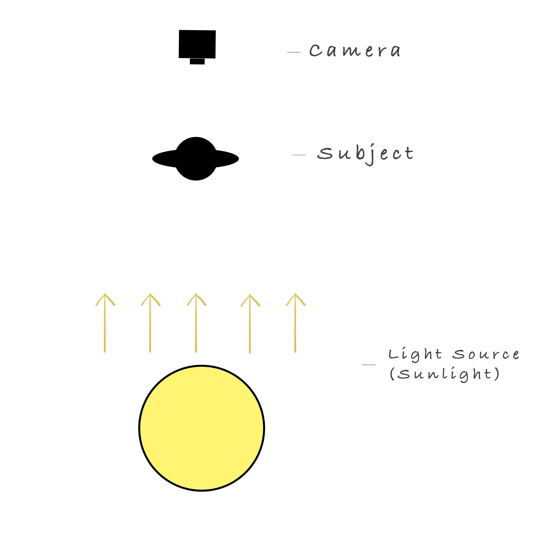 Hey Chicago! Backlight Your Photographs | Nicola Levine Photography