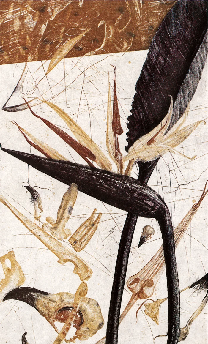 Floral-Etchings — Nall the Artist