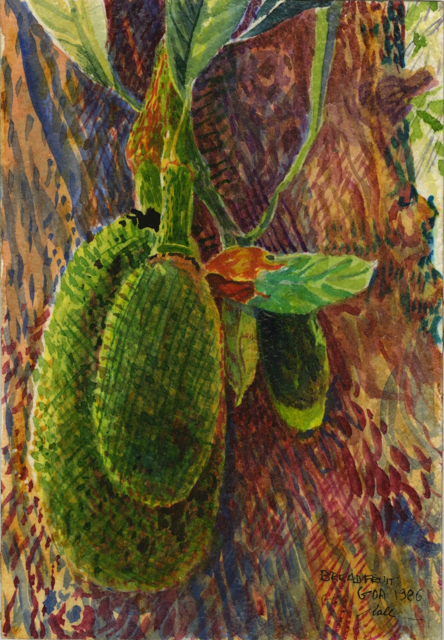 India — Nall the Artist