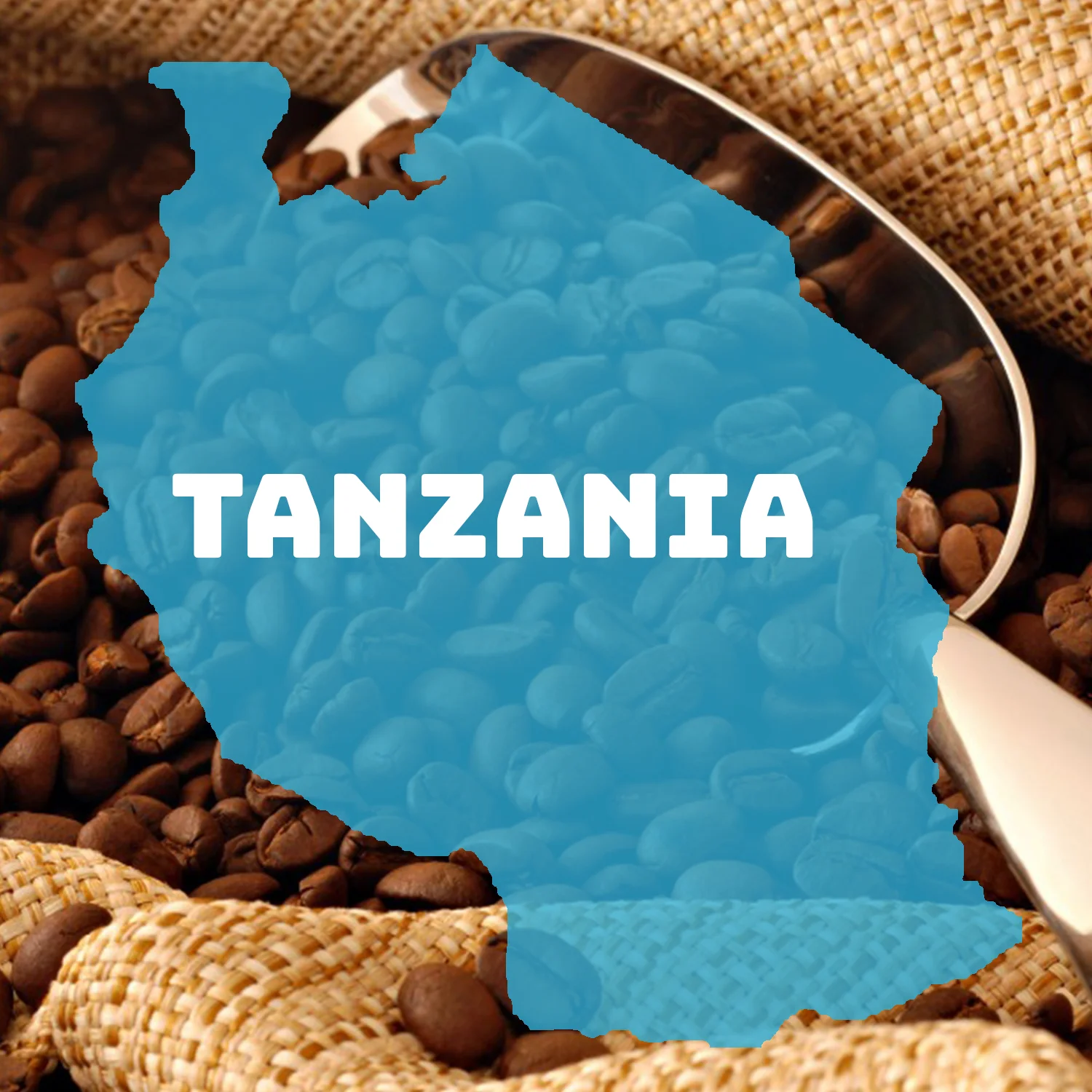 Coffee Beans — TradeWind Coffee Co.