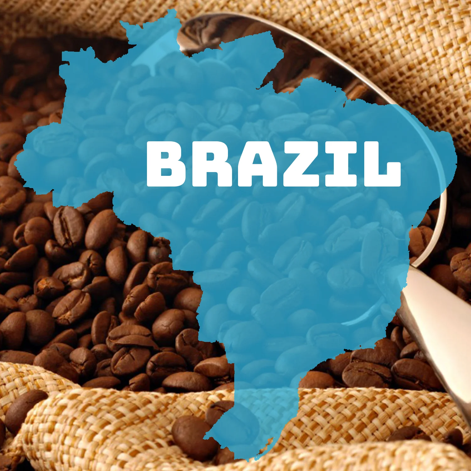 Coffee Beans — TradeWind Coffee Co.