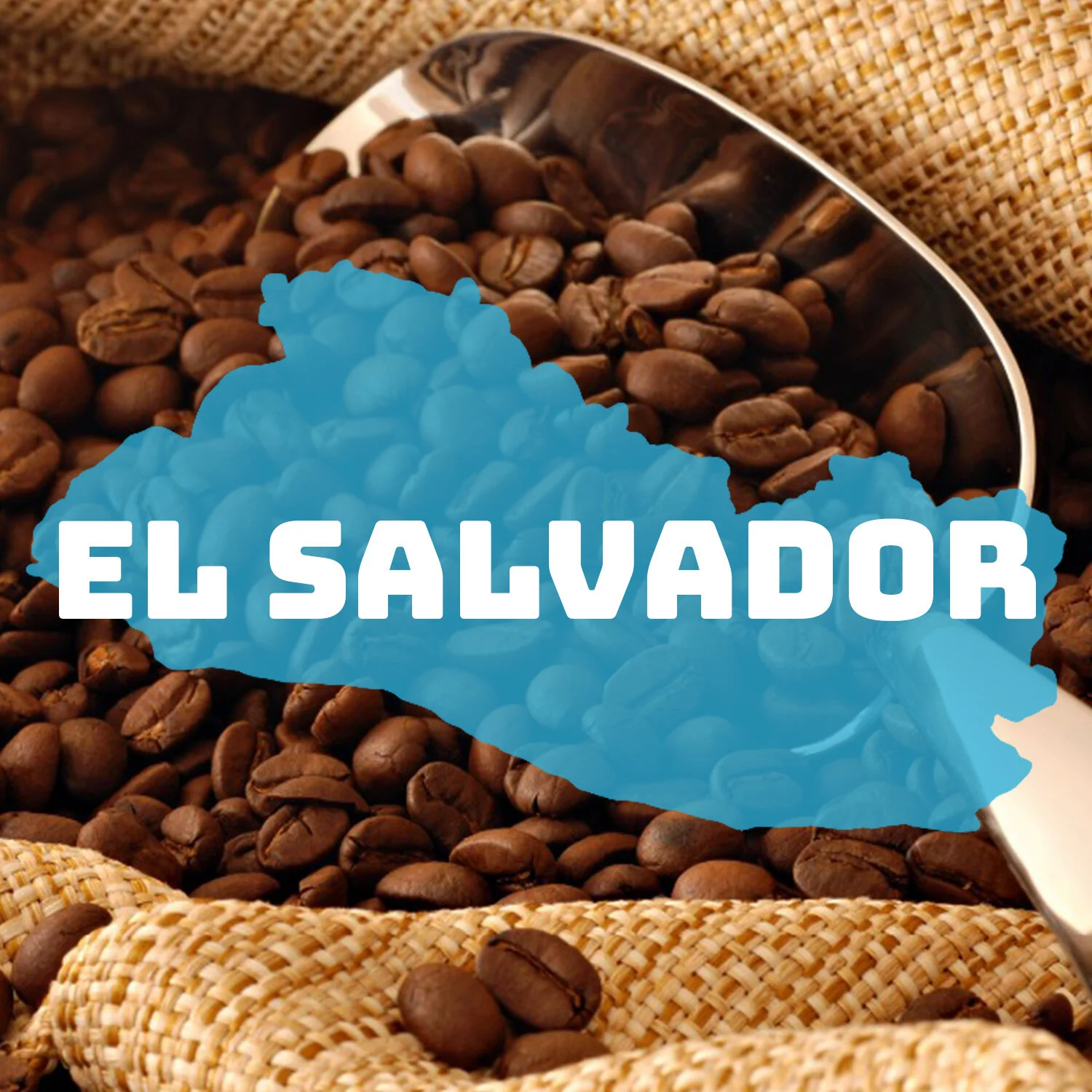 Coffee Beans — TradeWind Coffee Co.