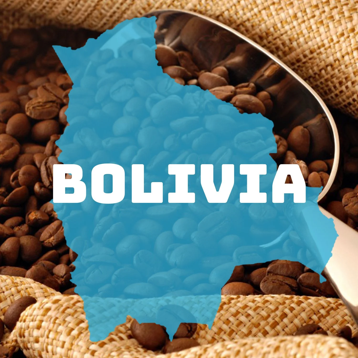 Coffee Beans — TradeWind Coffee Co.