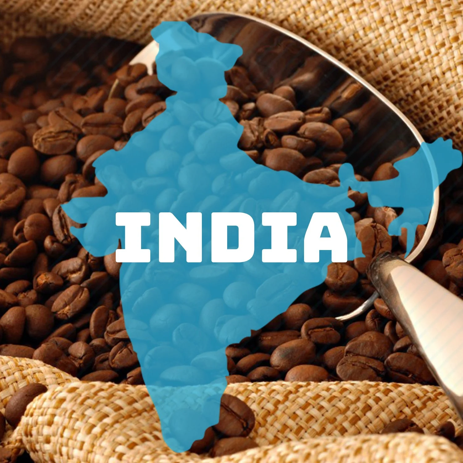 Coffee Beans — TradeWind Coffee Co.