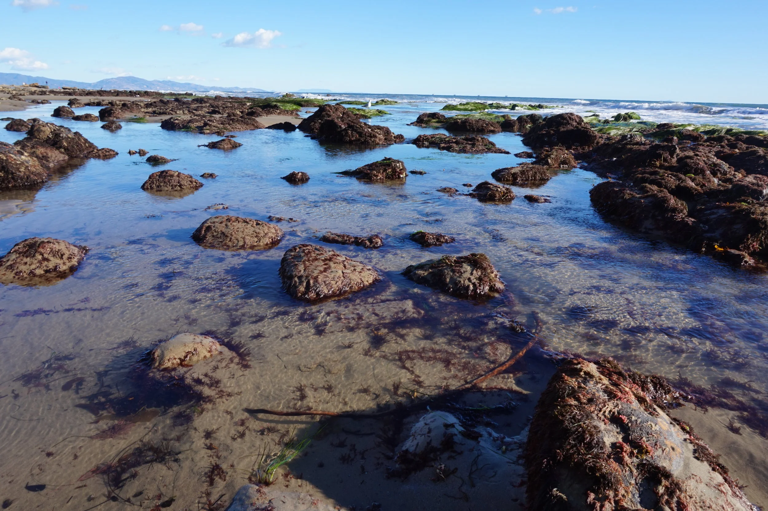 About — Alante Capital