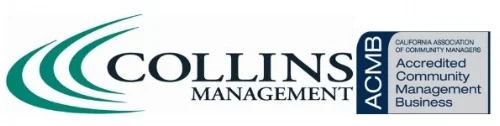 Welcome [collins-management.foundation]