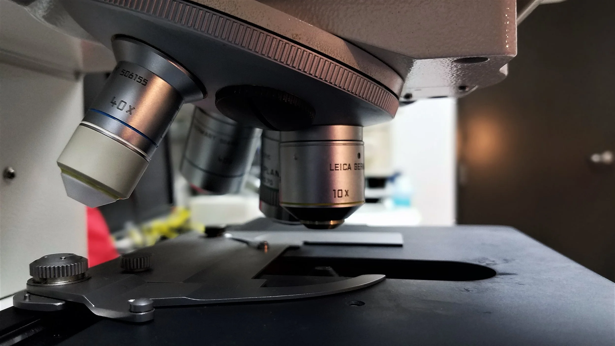 The Cornell Laboratory