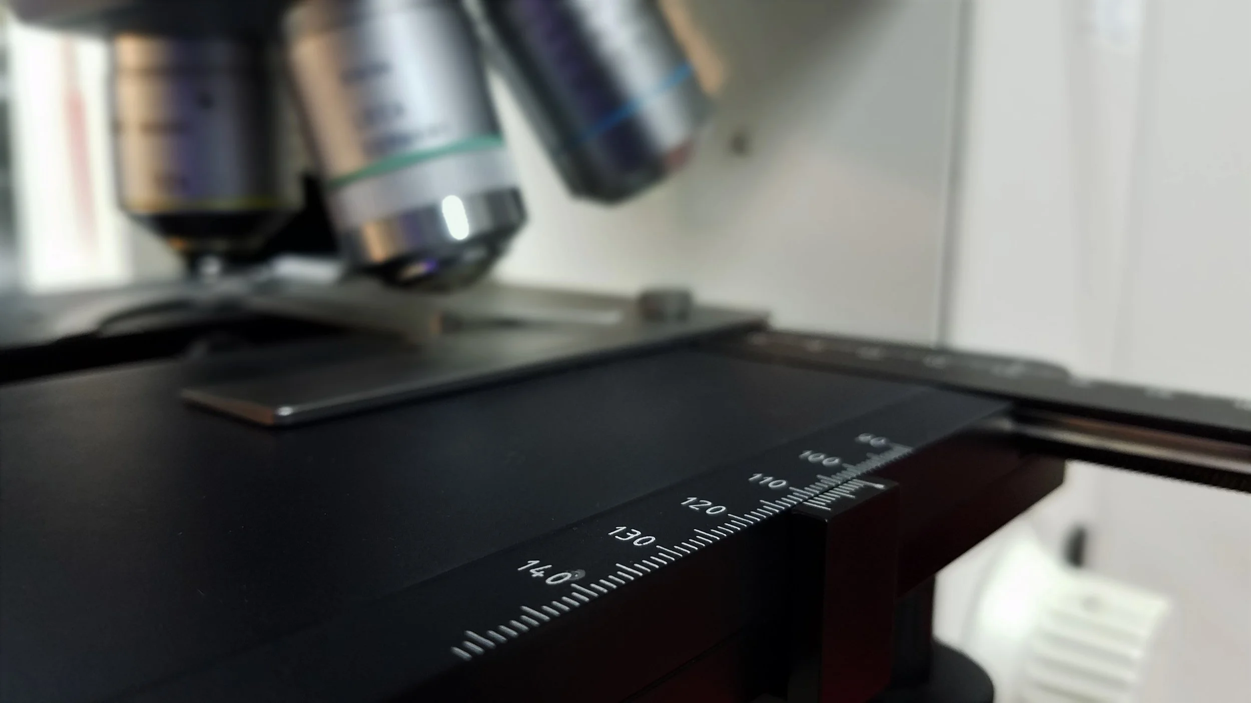 The Cornell Laboratory