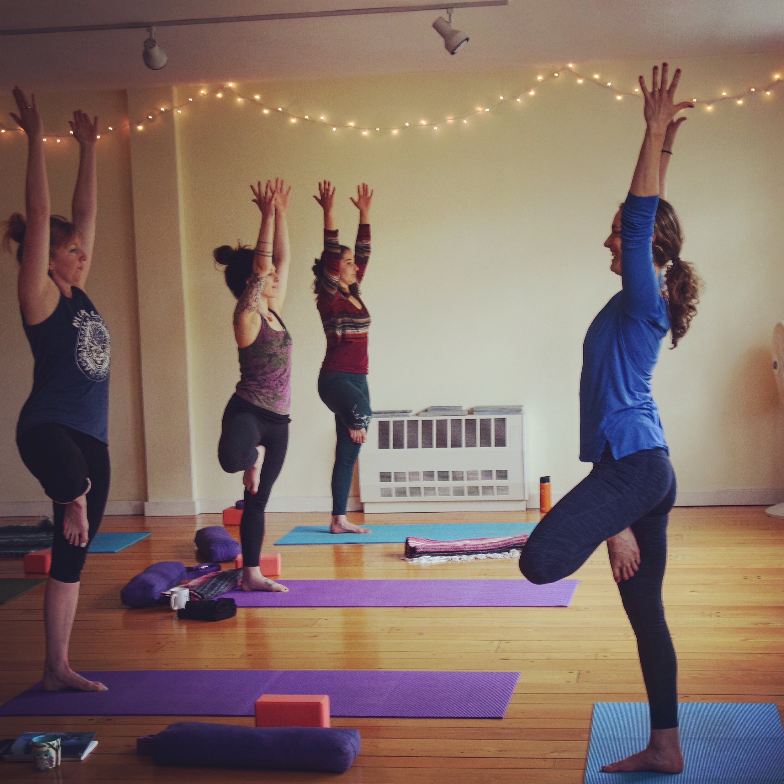 About Molly Kitchen Yoga — Molly Kitchen Yoga