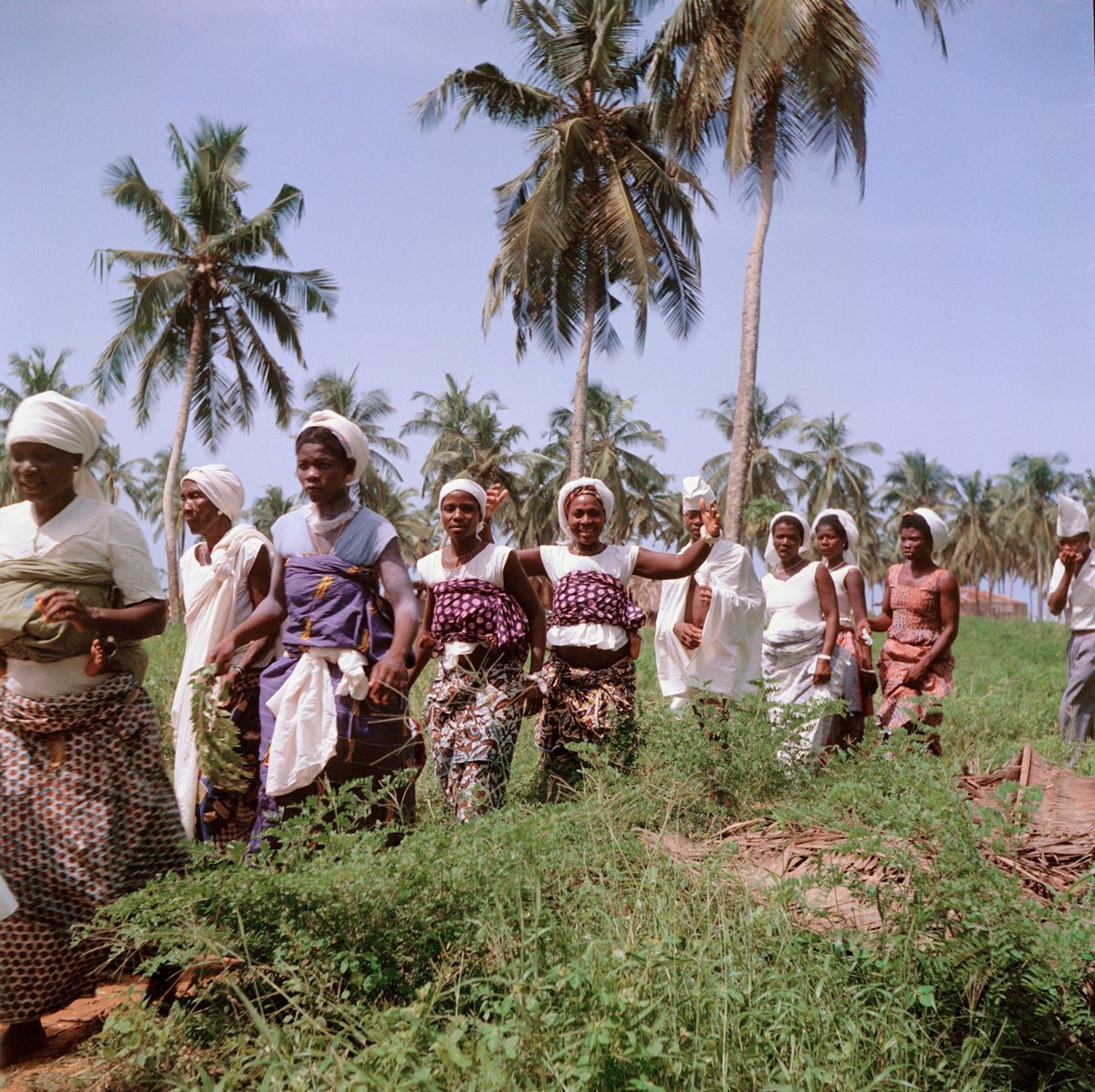 Outside the Frame: Todd Webb in Africa — Portland Museum of Art