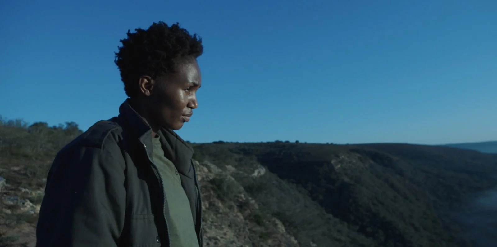 PMA Films — Portland Museum of Art