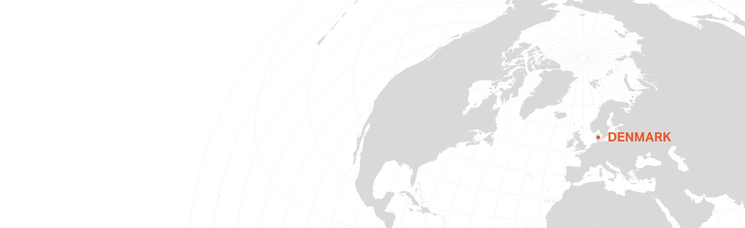 SUPERFLEX — Portland Museum of Art