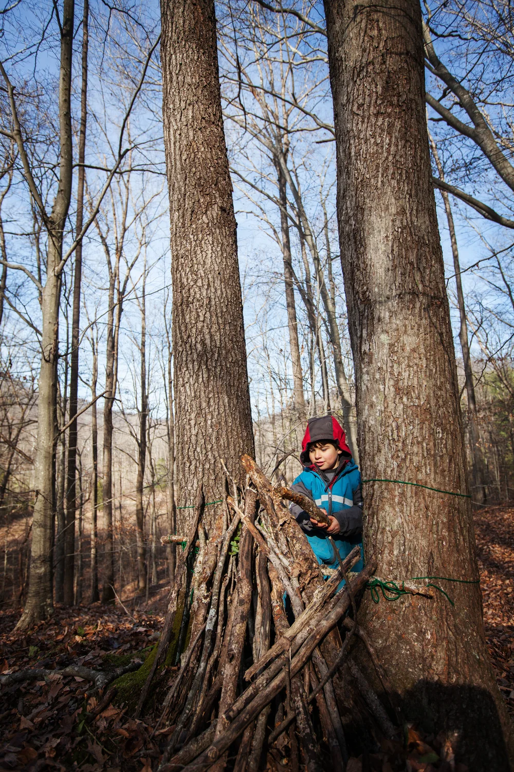 Mighty Acorns — Red Oaks Forest School
