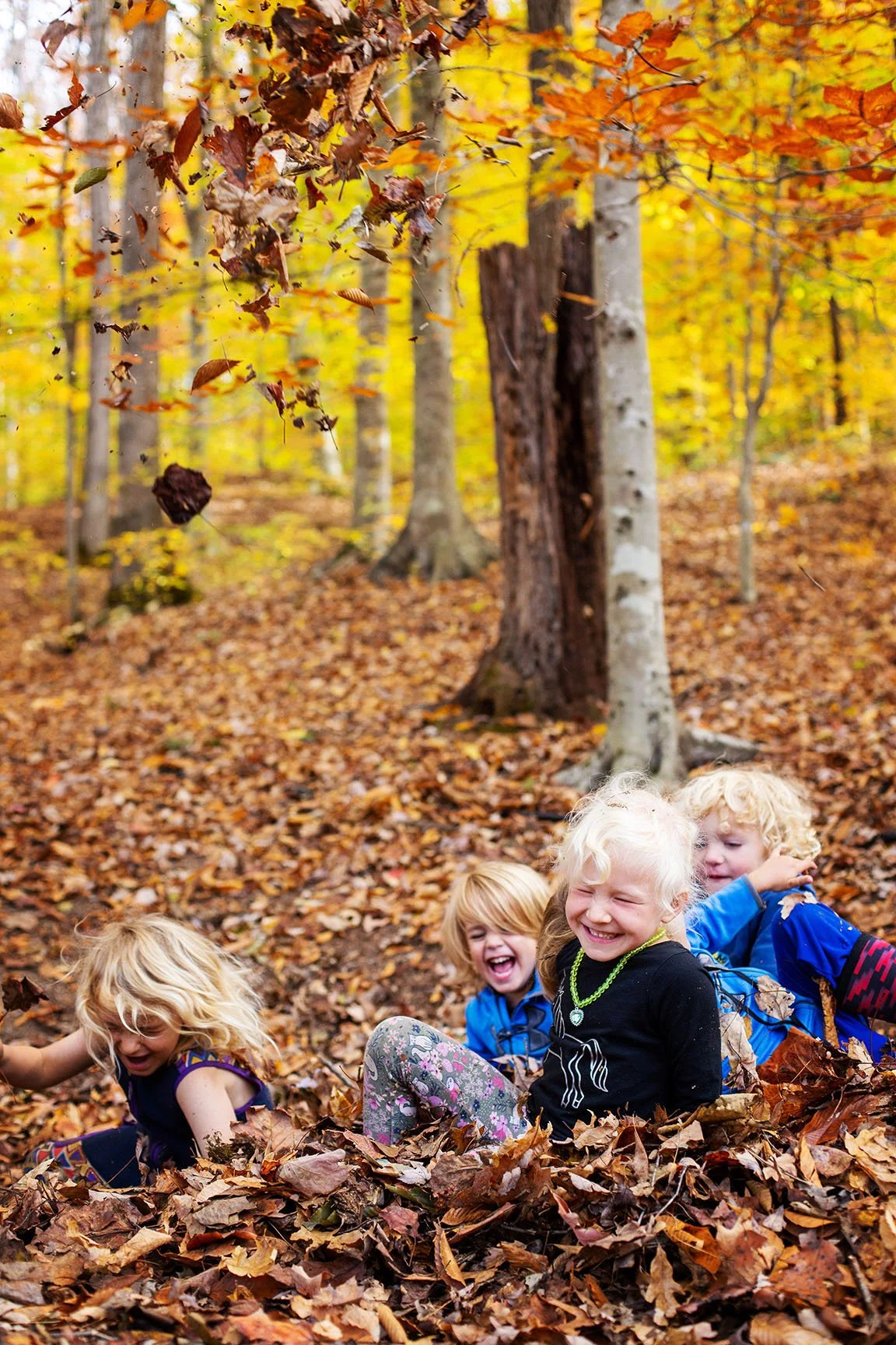 Mighty Acorns Program — Red Oaks Forest School
