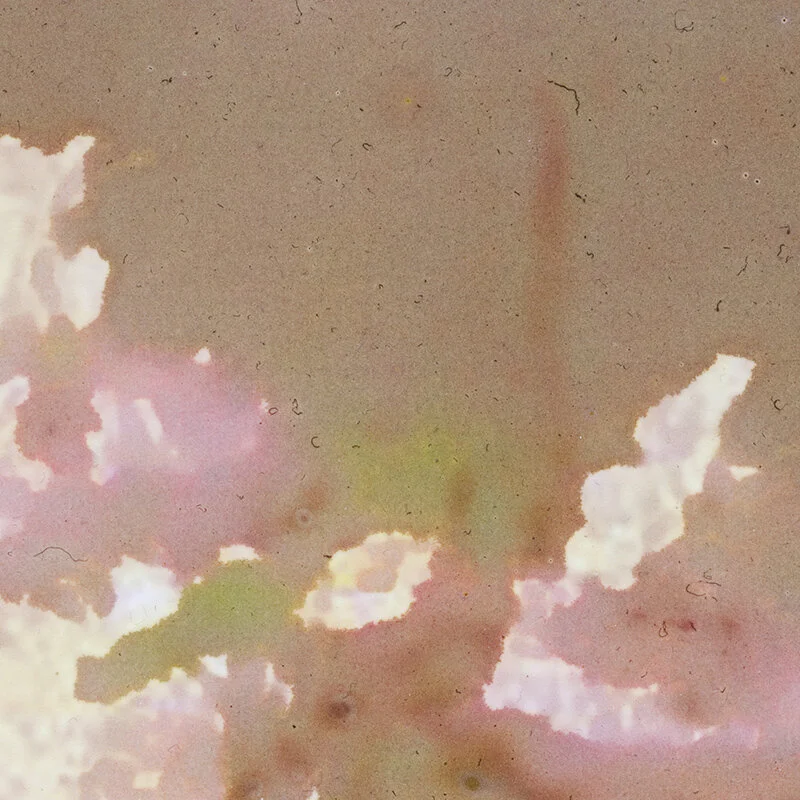 Amanda Clyne — Portfolio of Amanda Clyne - Painting, Photography ...