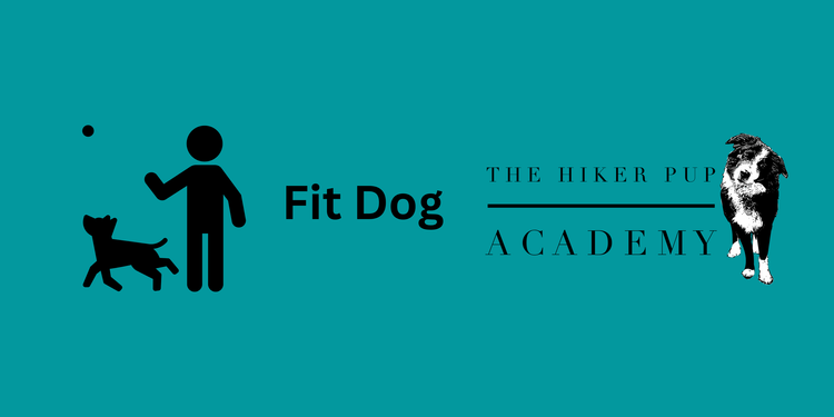 AKC Fit Dog Level 1 — The Hiker Pup