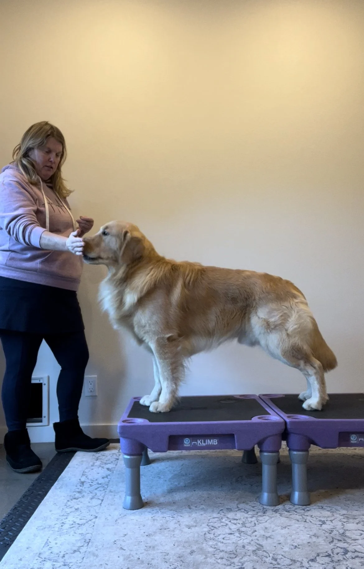 AKC Fit Dog Level 1 — The Hiker Pup