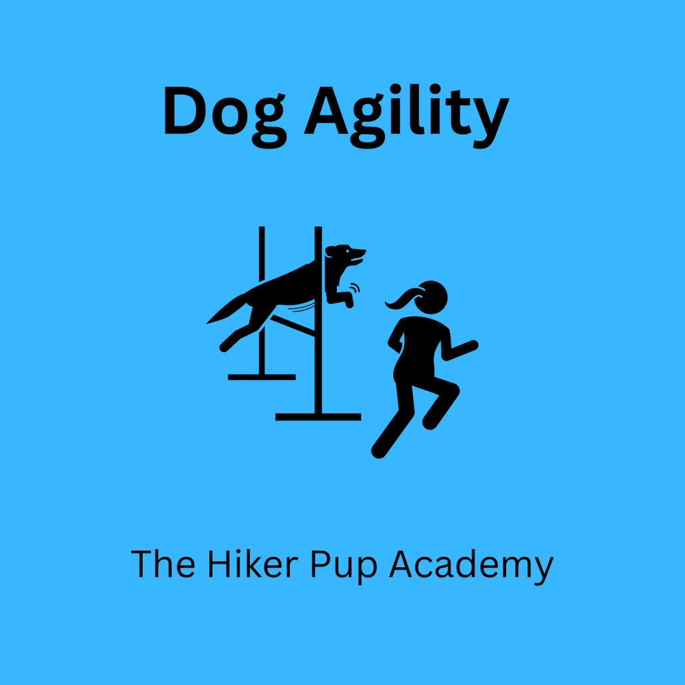 Academy Agility Foundations — The Hiker Pup